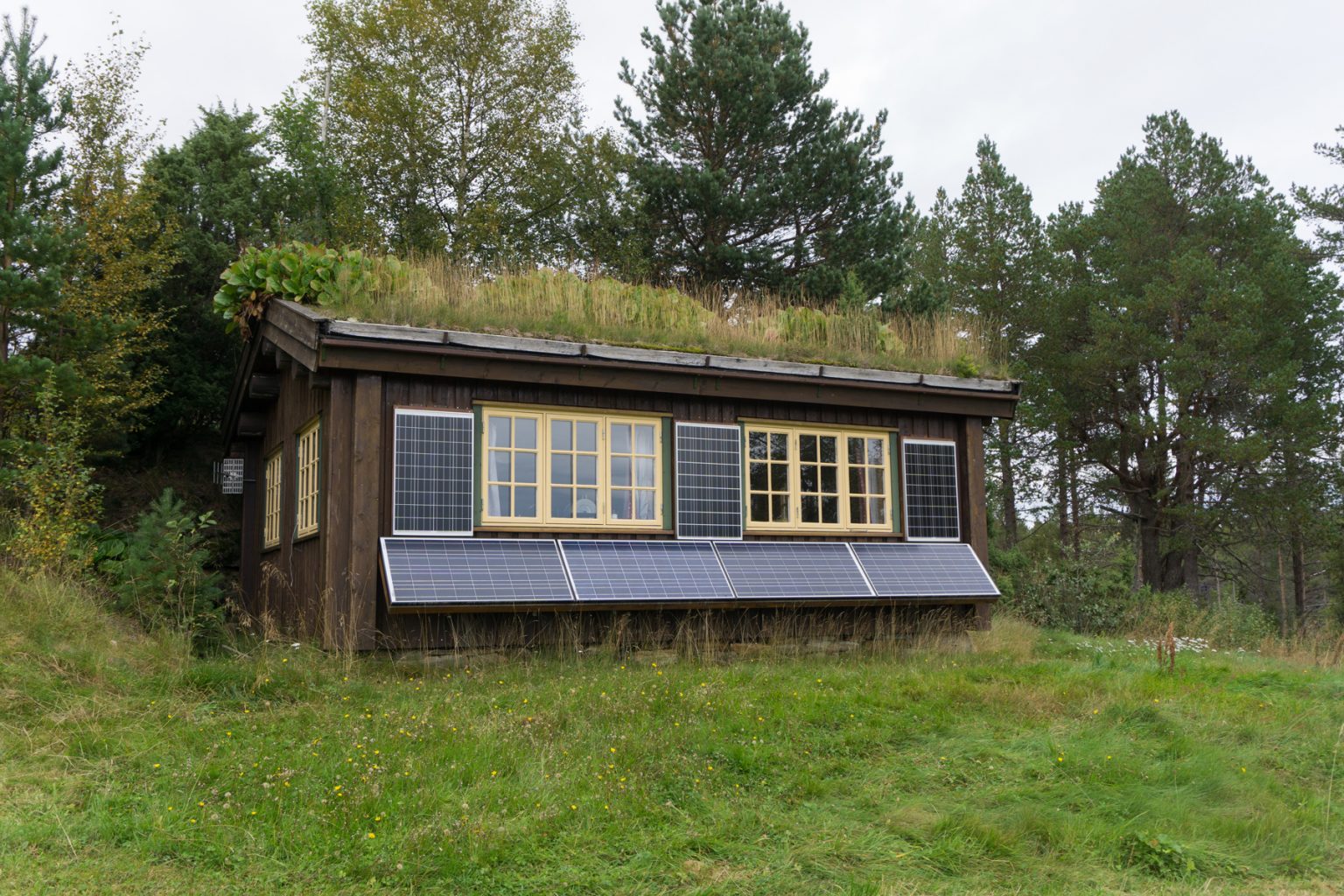 7 Tips for How to Start Living Off The Grid - Countryside